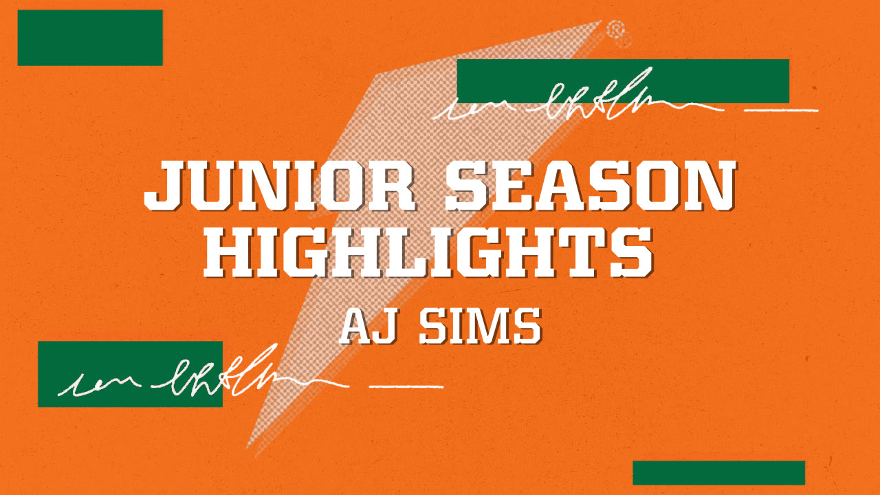 Junior Season Highlights - AJ Sims highlights - Hudl